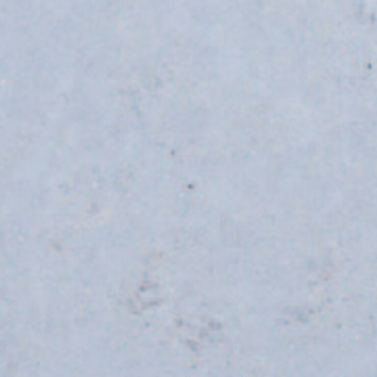 Design Plaano | Lattiat